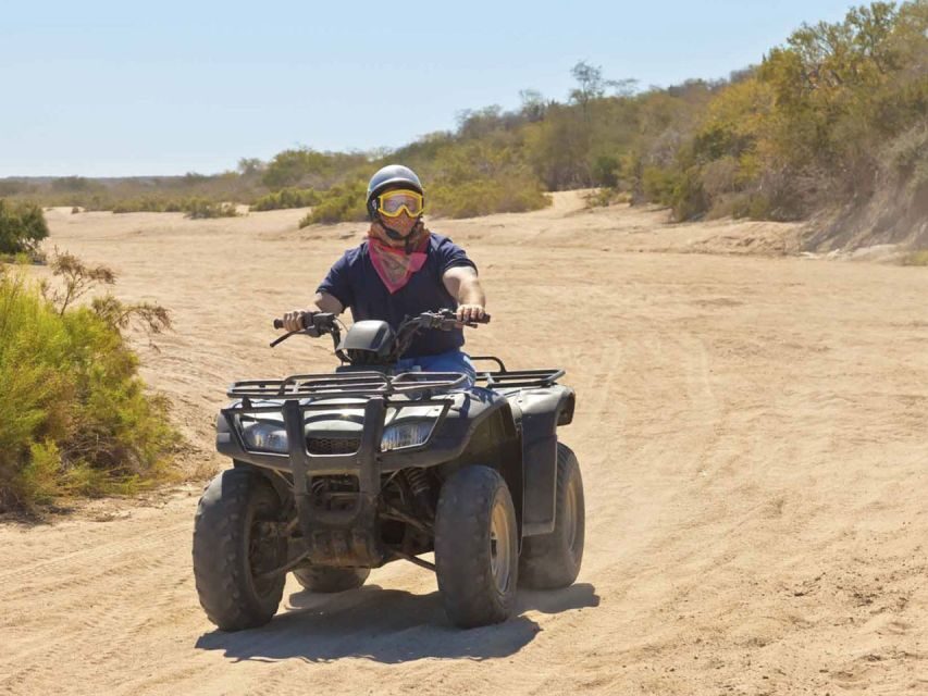 Kusadasi: Guided Quad Biking Tour - Real Opinions from Participants
