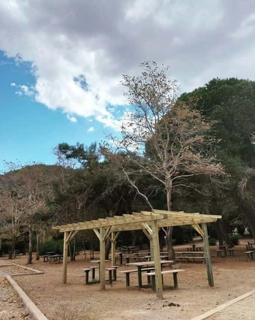 Kusadasi National Park Shinrin Yoku Tour - Itinerary Breakdown and What to Expect