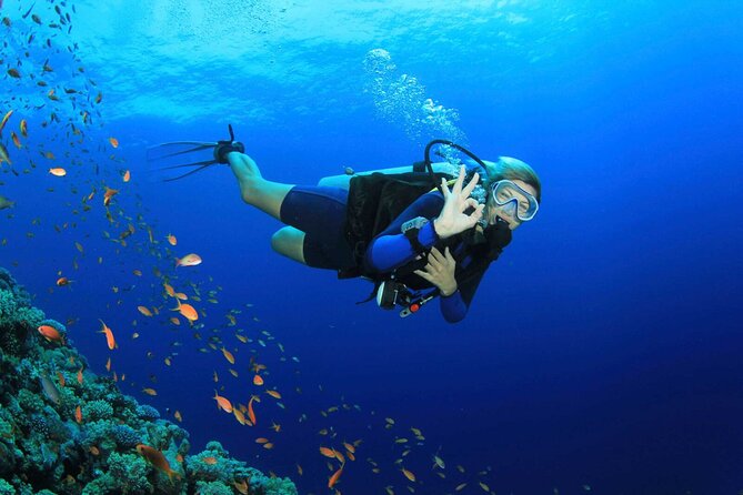 Kusadasi Scuba Diving Tour By Local Experts - Key Points