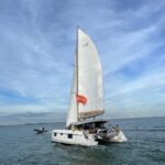 La Flotte, Ile de Ré: Sailing Catamaran Cruise - What You Can Expect