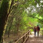 La Gomera Vip Experience - The Value and Practical Details