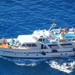 La Gomera: Whale Watching Tour on an Vintage Boat - Detailed Breakdown of the Itinerary