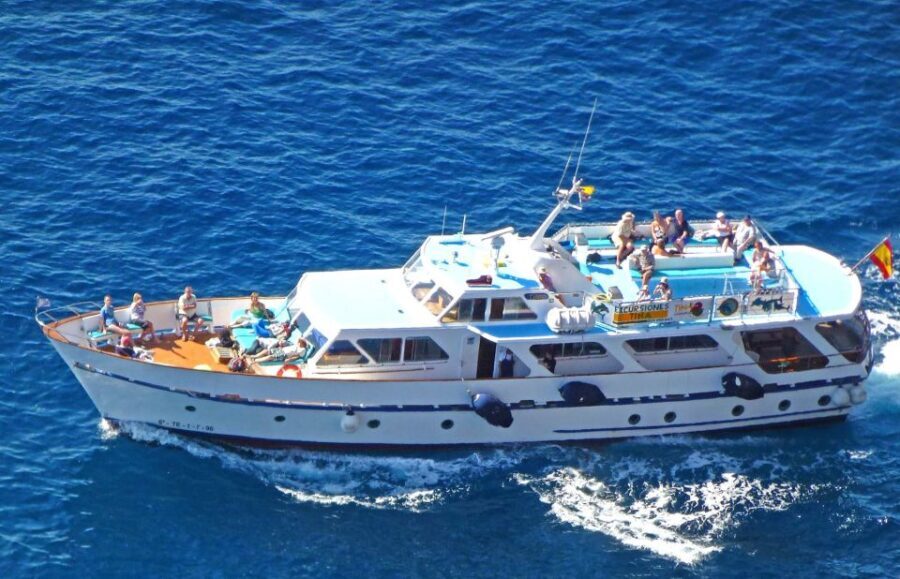 La Gomera: Whale Watching Tour on an Vintage Boat - Detailed Breakdown of the Itinerary