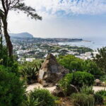 La Mortella Gardens excursion from Ischia - Who Should Consider This Tour?