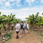 La Orotava: Eco Banana Plantation Tour with Banana Liquor - The Educational Element and Guided Insights