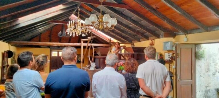La Orotava: guided tour with gofio tasting, Los Molinos de la Villa - How the Tour Offers Value