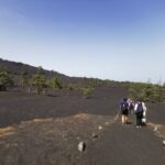 La Palma: Guided Tour to Tajogaite Volcano with Transfer - Key Points at a Glance