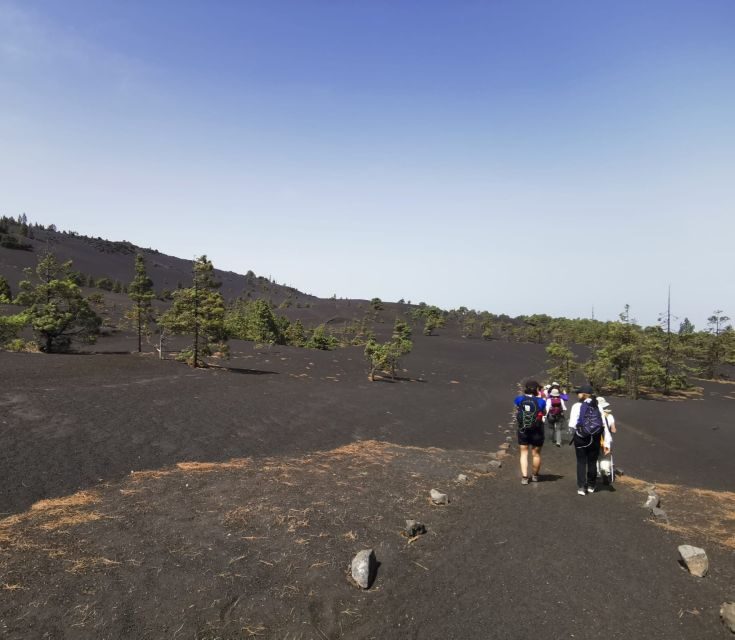 La Palma: Guided Tour to Tajogaite Volcano with Transfer - Key Points at a Glance