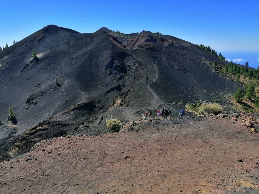 La Palma: Guided trekking tour to volcanoes south - Is This Tour Worth Your Money?