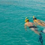 La Palma : Snorkeling Tour in Los Cancajos - The Value and Overall Experience