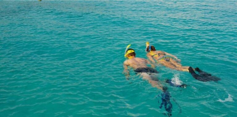 La Palma : Snorkeling Tour in Los Cancajos - The Value and Overall Experience