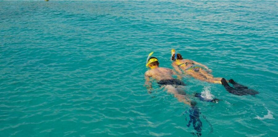 La Palma : Snorkeling Tour in Los Cancajos - The Value and Overall Experience