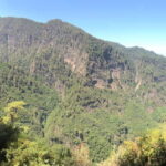 La Palma: Springs Marcos y Cordero Guided Trekking Tour - The Sum Up