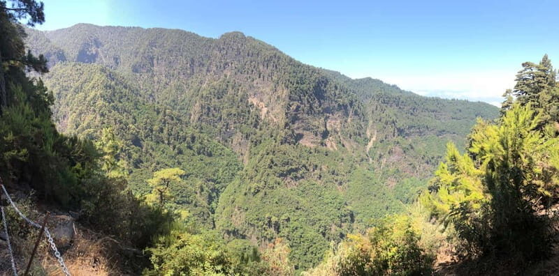 La Palma: Springs Marcos y Cordero Guided Trekking Tour - The Sum Up