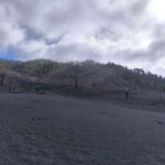 La Palma: Tajogaite Volcano Guided Hike - Authentic Stories & Guest Experiences