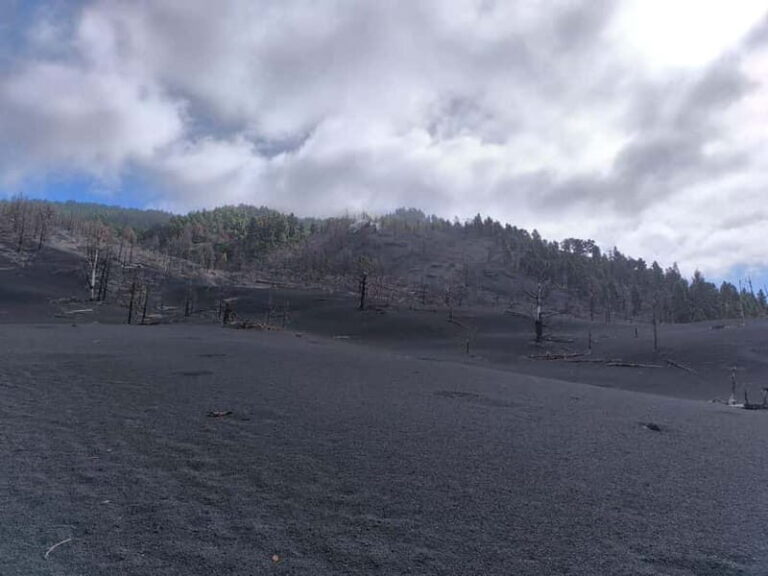 La Palma: Tajogaite Volcano Guided Hike - Authentic Stories & Guest Experiences