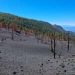 La Palma: Tajogaite Volcano Guided Trek - The Itinerary: What You Can Expect