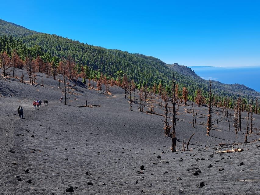 La Palma: Tajogaite Volcano Guided Trek - The Itinerary: What You Can Expect