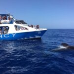 La Palma: Wildlife Viewing and Cumbre Vieja Boat Tour - Who Would Love This Tour?