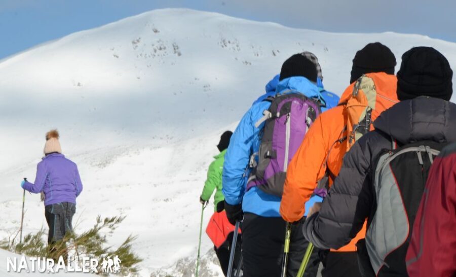 La Raya: Fuentes de Invierno Snowshoe Walk - Who Will Love This Tour