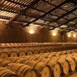 La Rioja: Guided visit to CVNE Winery and wine tasting - Who Will Love This Tour?