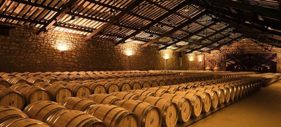 La Rioja: Guided visit to CVNE Winery and wine tasting - Who Will Love This Tour?