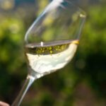 La Roche Vineuse: Visit to the Vine and Wine Museum - Practical Considerations