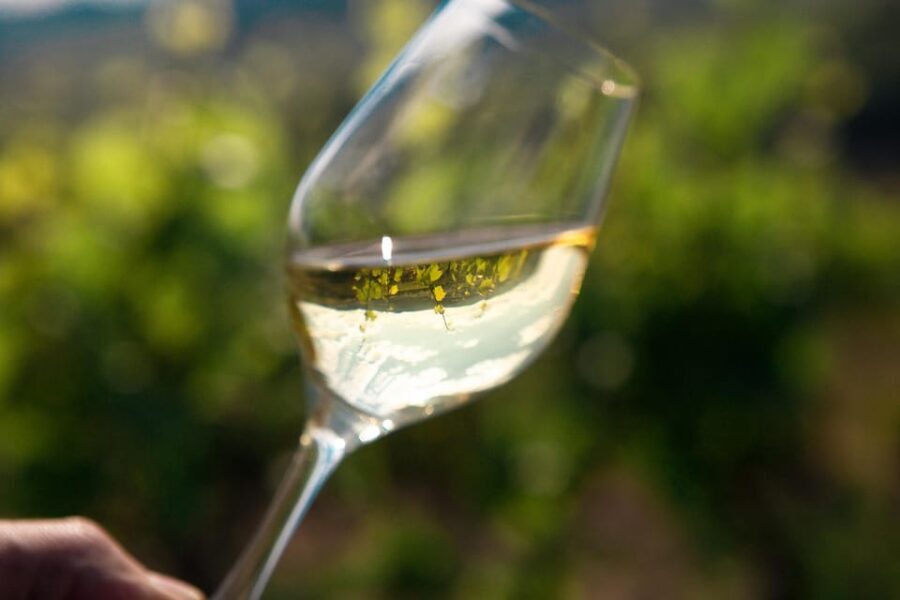 La Roche Vineuse: Visit to the Vine and Wine Museum - Practical Considerations