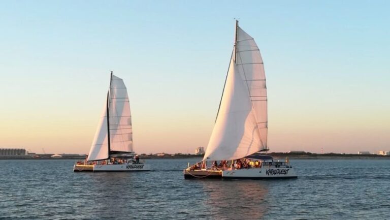 La Rochelle: Catamaran Cruise - Who Should Consider This Tour?