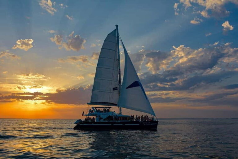 La Rochelle : Sunset Catamaran Cruise (2h00) - The Itinerary: What to Expect on the Water