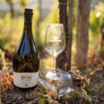 La Spezia: 4 Wines Degustation - What to Expect: A Clear, Well-Structured Tasting