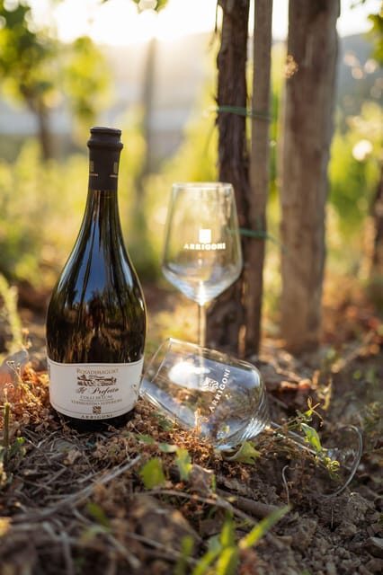 La Spezia: 4 Wines Degustation - What to Expect: A Clear, Well-Structured Tasting