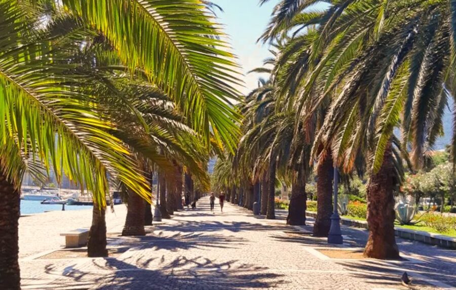 La Spezia: Guided Walking Tour with Italian-Inspired Music - Who Will Love This Tour?