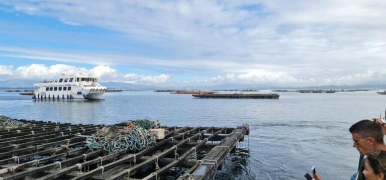 La Toja: Boat Tour at the Arousa estuary with mussel tasting - The Experience in Detail: Navigating the Highlights