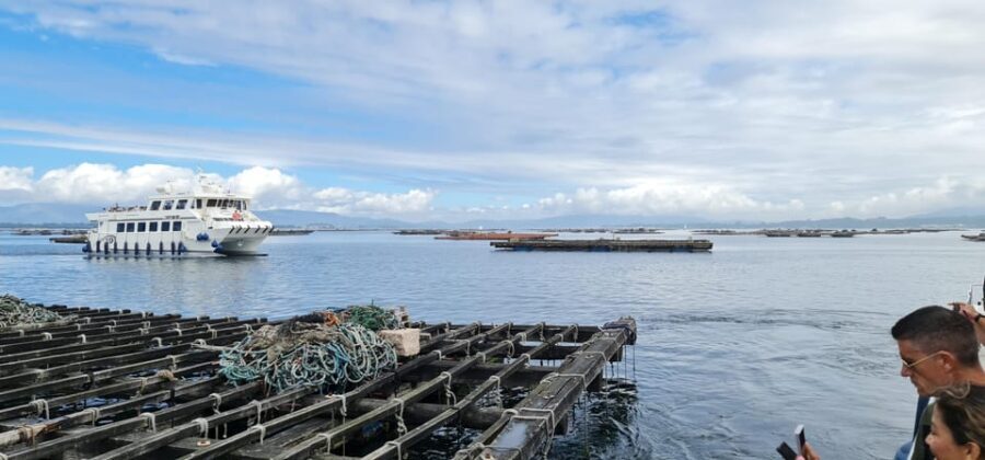 La Toja: Boat Tour at the Arousa estuary with mussel tasting - The Experience in Detail: Navigating the Highlights