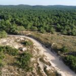 La Tremblade: Hiking in the Forêt Domaniale de la Coubre - The Côte Sauvage and the Ocean Views