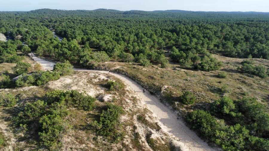 La Tremblade: Hiking in the Forêt Domaniale de la Coubre - The Côte Sauvage and the Ocean Views