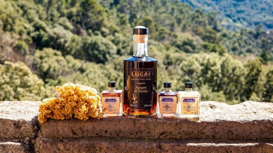 Laconi: chocolate and typical liqueurs tasting - Why This Experience Adds Value to Your Sardinian Trip