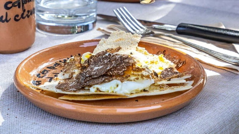 Laconi: truffle hunting excursion with lunch - What Travelers Say