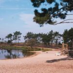 Lagoa da Ervedeira E-bike and Stand Up Paddle tour - In-Depth: Why This Tour Might Be Perfect for You