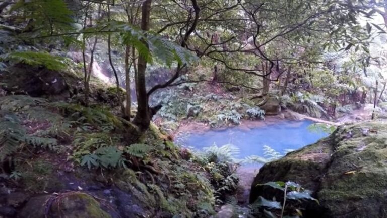 Lagoa do Fogo: Guided Volcano Geo Tour w/ Hotsprings Bathing - Scenic Drive and Viewpoints