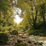 Lagodekhi - A day hiking from Tbilisi - Detailed Breakdown of the Itinerary