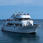 Lagoon to Paphos: Blue Lagoon All Inclusive Round Trip - Final Thoughts: Who Should Consider This Tour?