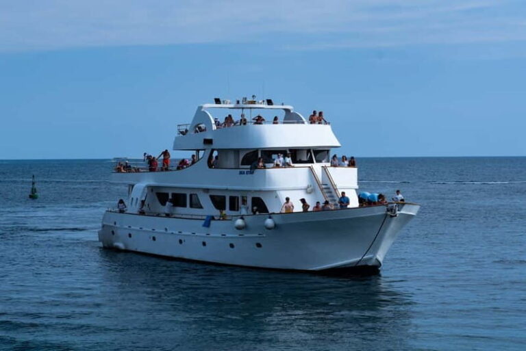 Lagoon to Paphos: Blue Lagoon All Inclusive Round Trip - Final Thoughts: Who Should Consider This Tour?