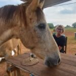 Lagos: A walk with a rescued horse at the sanctuary - What to Expect: From Introduction to Reflection