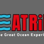 Lagos: Dolphin & Benagil Tour with Marine Biologist - Authentic Experiences from Travelers