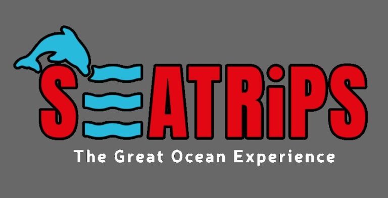 Lagos: Dolphin & Benagil Tour with Marine Biologist - Authentic Experiences from Travelers