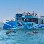 Lagos: Dolphin Watching Half-Day Cruise & Water Activities - Why Travelers Love This Tour