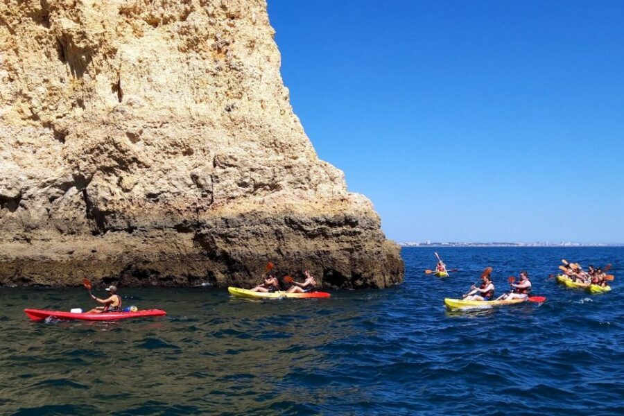 Lagos: Guided Kayak Tour - What to Expect on the Tour
