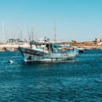Lagos Lunch Coastal Cruise - Who Should Book This Tour?